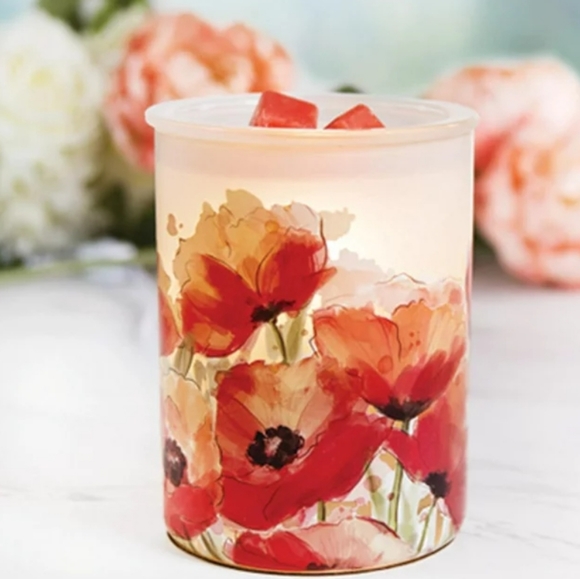 Scent Sationals | Other | Scentsationals Fullsize Fragrance Warmer ...